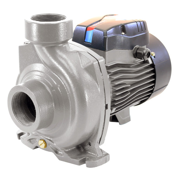 PEARL CENTRIFUGAL ELECTRIC WATER PUMP - CQPL 10F16S - 1HP, 110/220V,1P ...